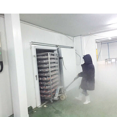 Blast freezer cold room from China manufacturer - FreezePro